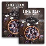 2 Packs Jackson Wonder Lima Bean Seed - Non-GMO Heirloom Full Sun ...