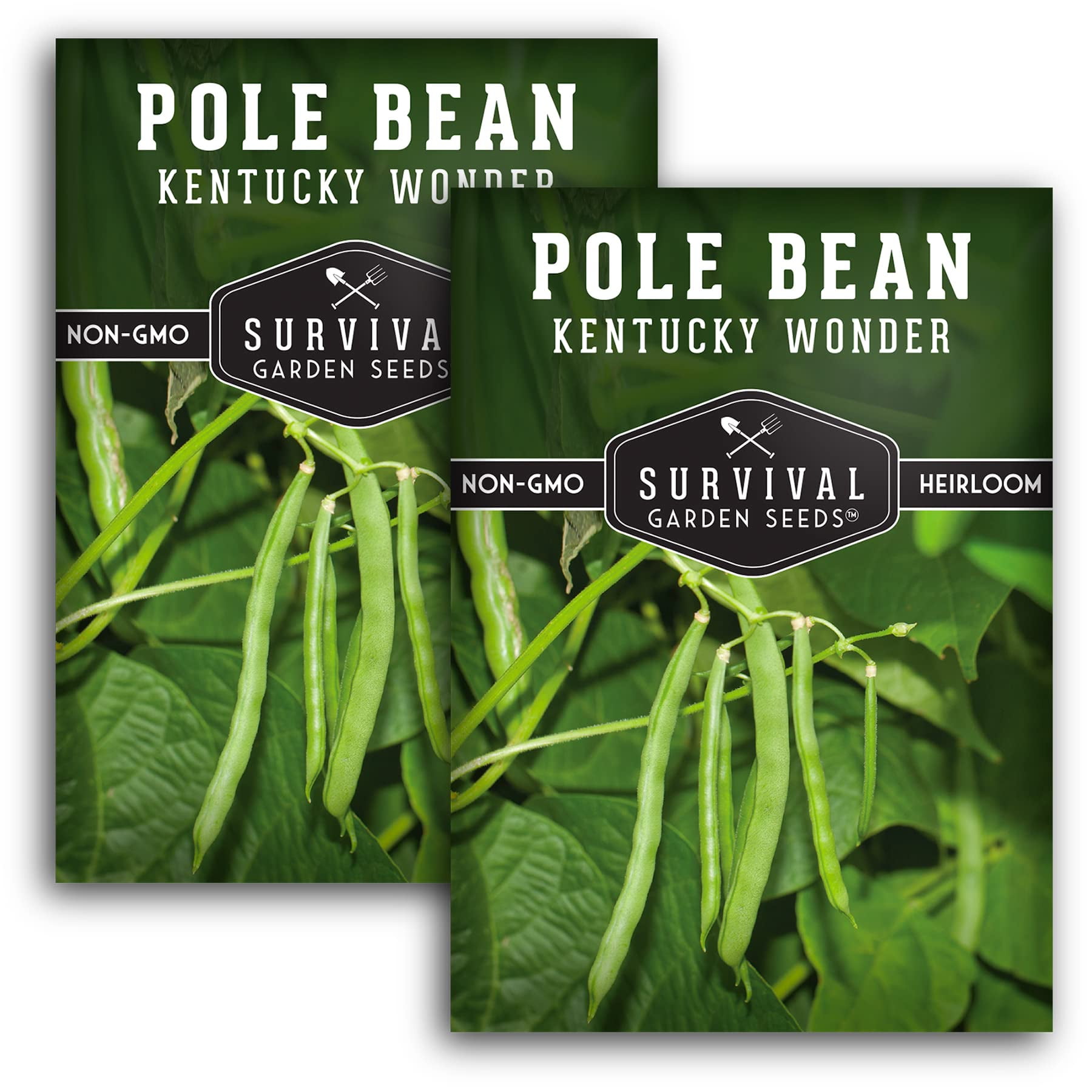 2 Packs Kentucky Wonder Pole Bean Seed - Snap, Long, Non-GMO Heirloom ...