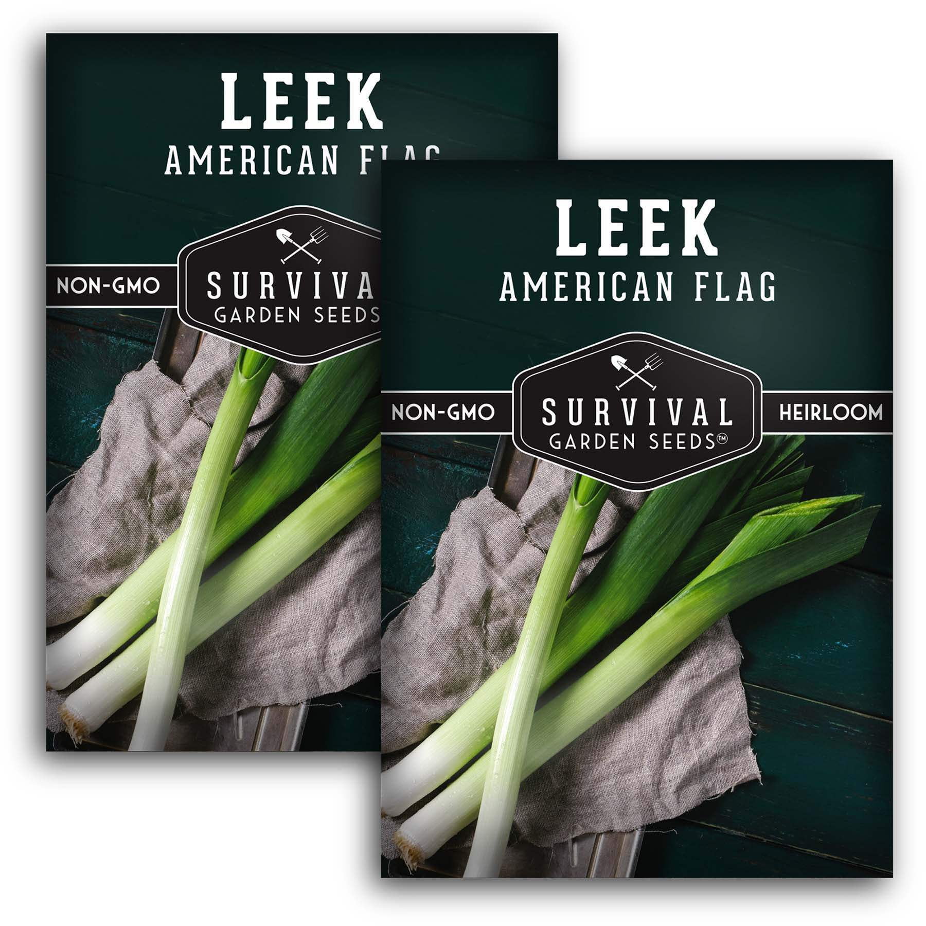 2 Packs Large American Flag Leek Seeds - Non-GMO Heirloom Full Sun ...