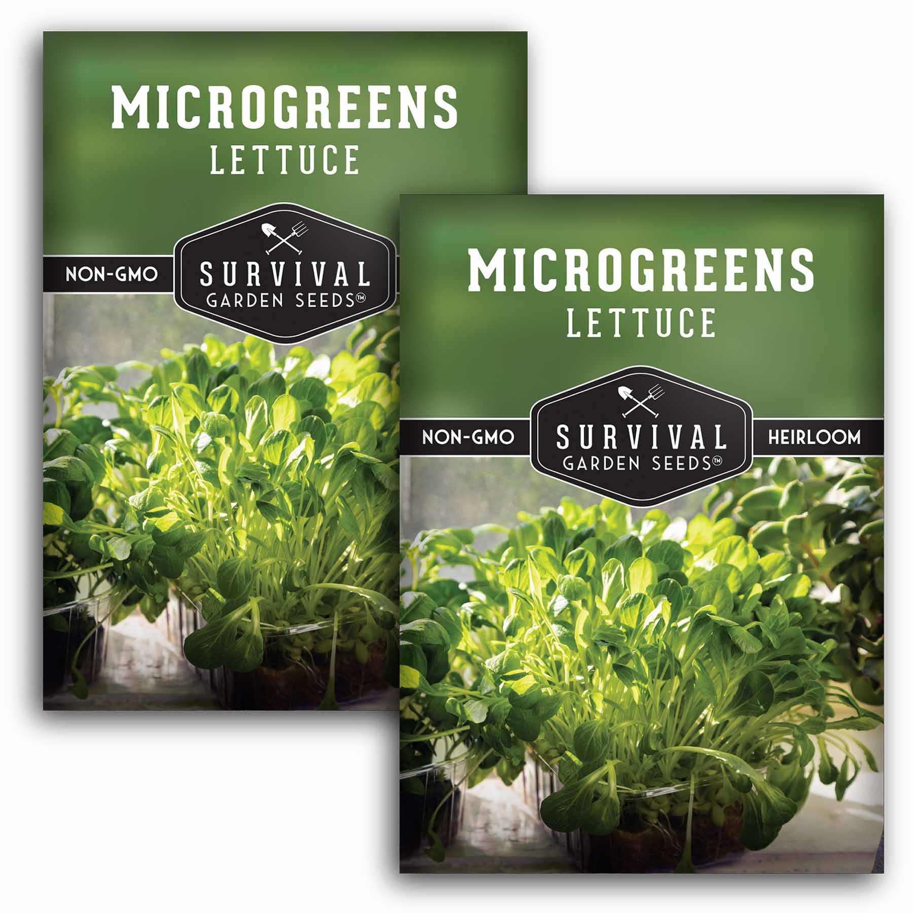 2 packs Lettuce Microgreens Seeds for Sprouting - Non-GMO Heirloom ...