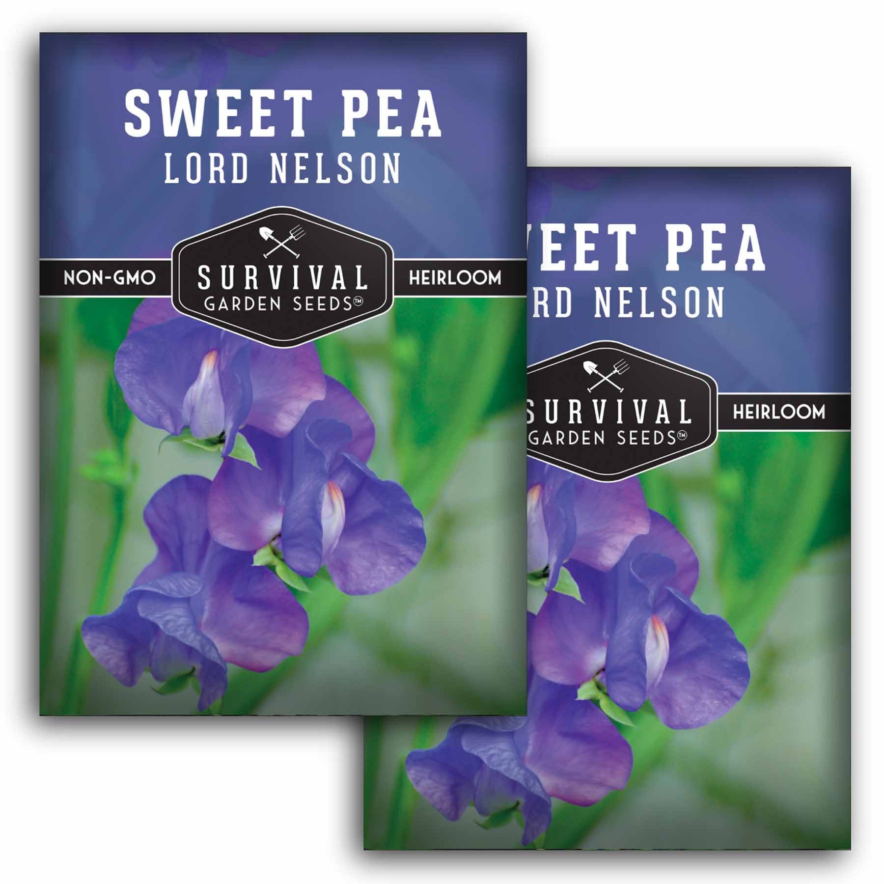 2 packs Lord Nelson Sweet Pea Flower Seeds - Lathyrus Odoratus ...