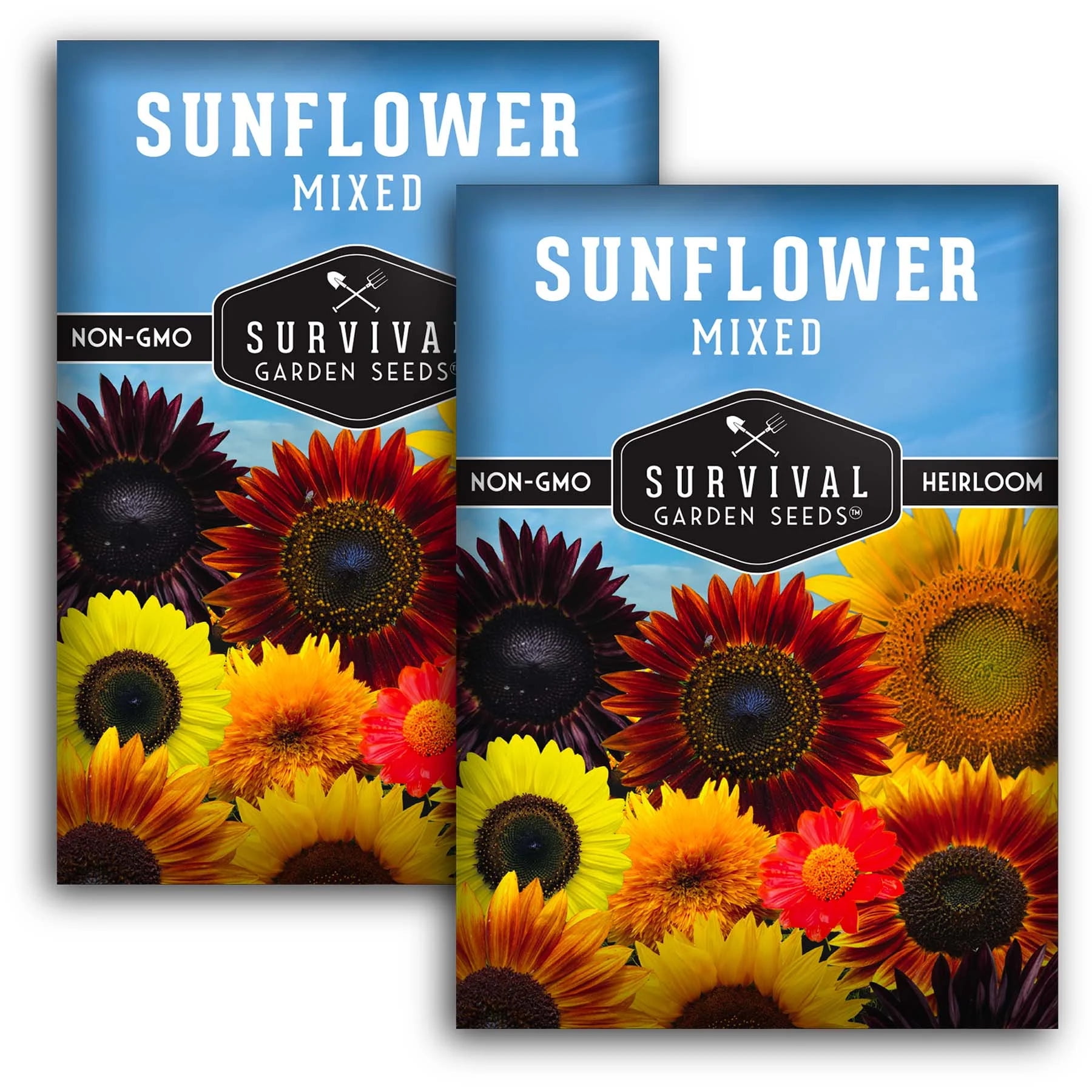 2 Packs Mixed Sunflower Seeds - Non-GMO Heirloom Full Sun Annual Flower ...