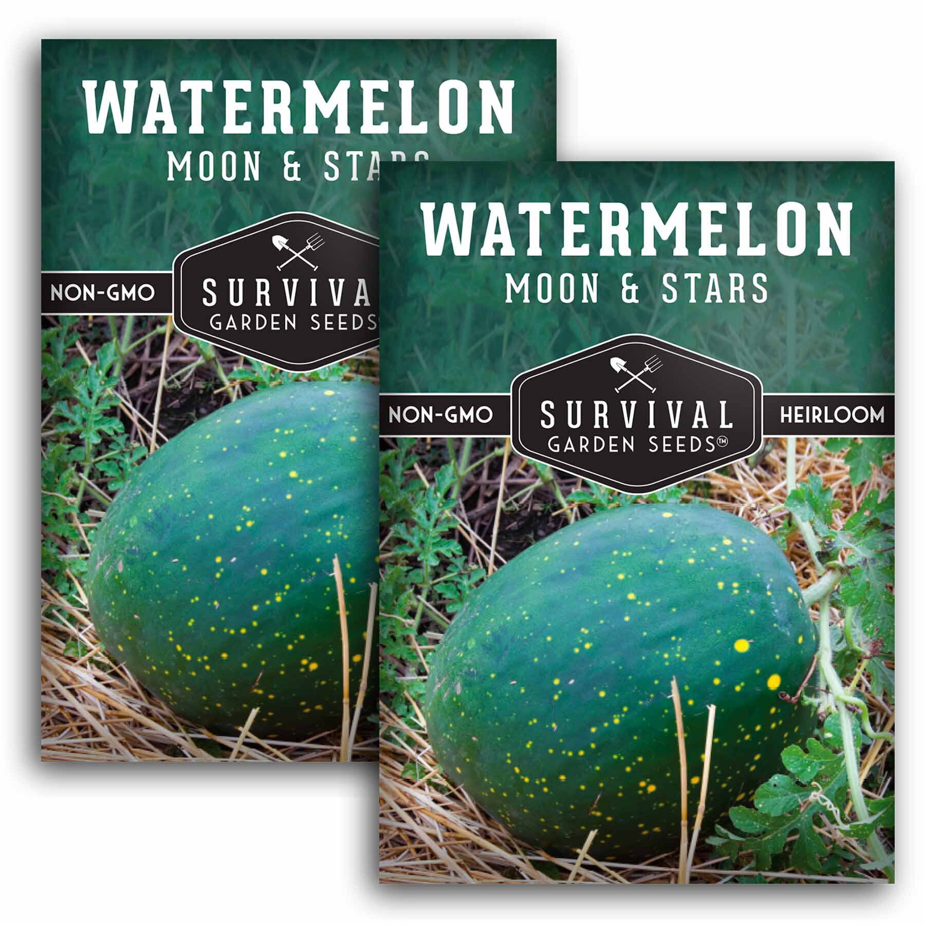 2 Packs Moon and Stars Watermelon Seeds - Non-GMO Heirloom Full Sun ...