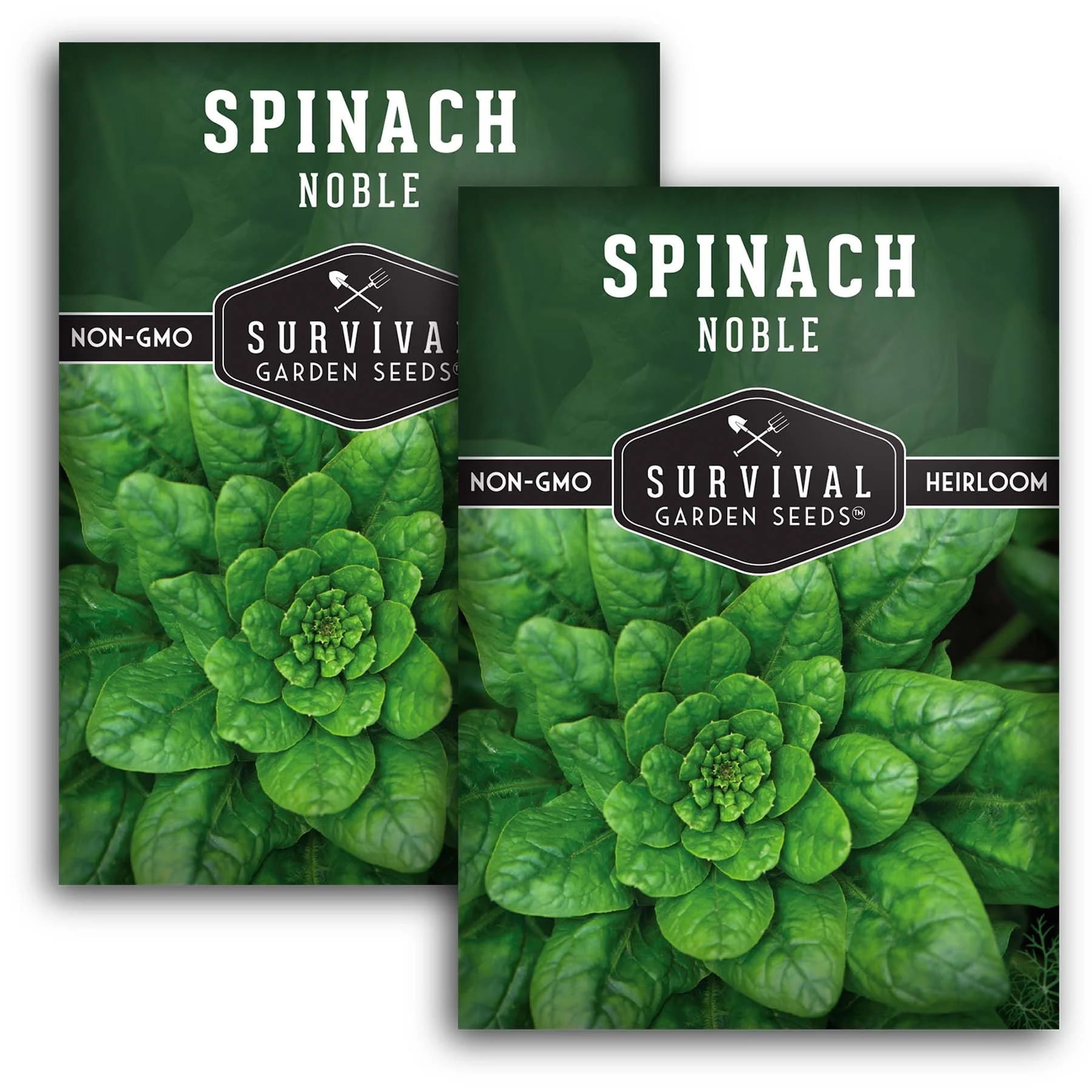 2 Packs Noble Giant Spinach Seeds - Non-GMO Heirloom Full Sun Annual ...