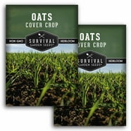 Wheat Cover Crop Seeds - Non-GMO Winter Wheat - Deer & Turkey Food Plot ...
