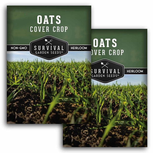2 Packs Oats Cover Crop Seed - Non-GMO Heirloom Annual Full Sun ...