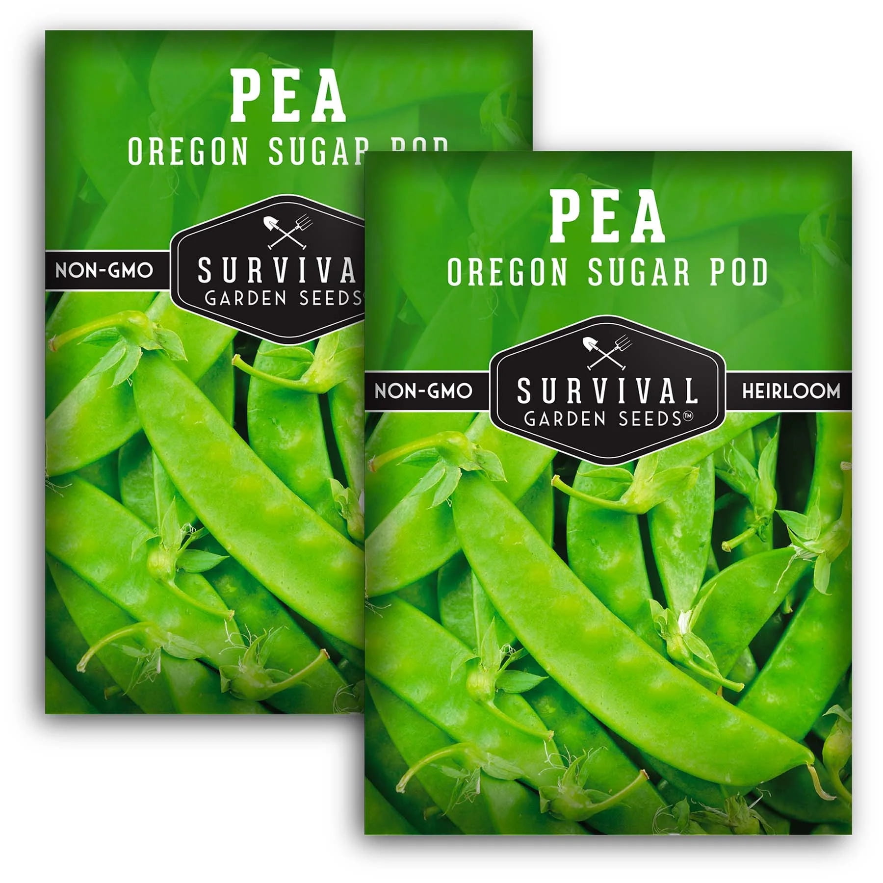2 packs Oregon Sugar Pod II Pea Seed - Non-GMO Heirloom Full Sun Annual ...