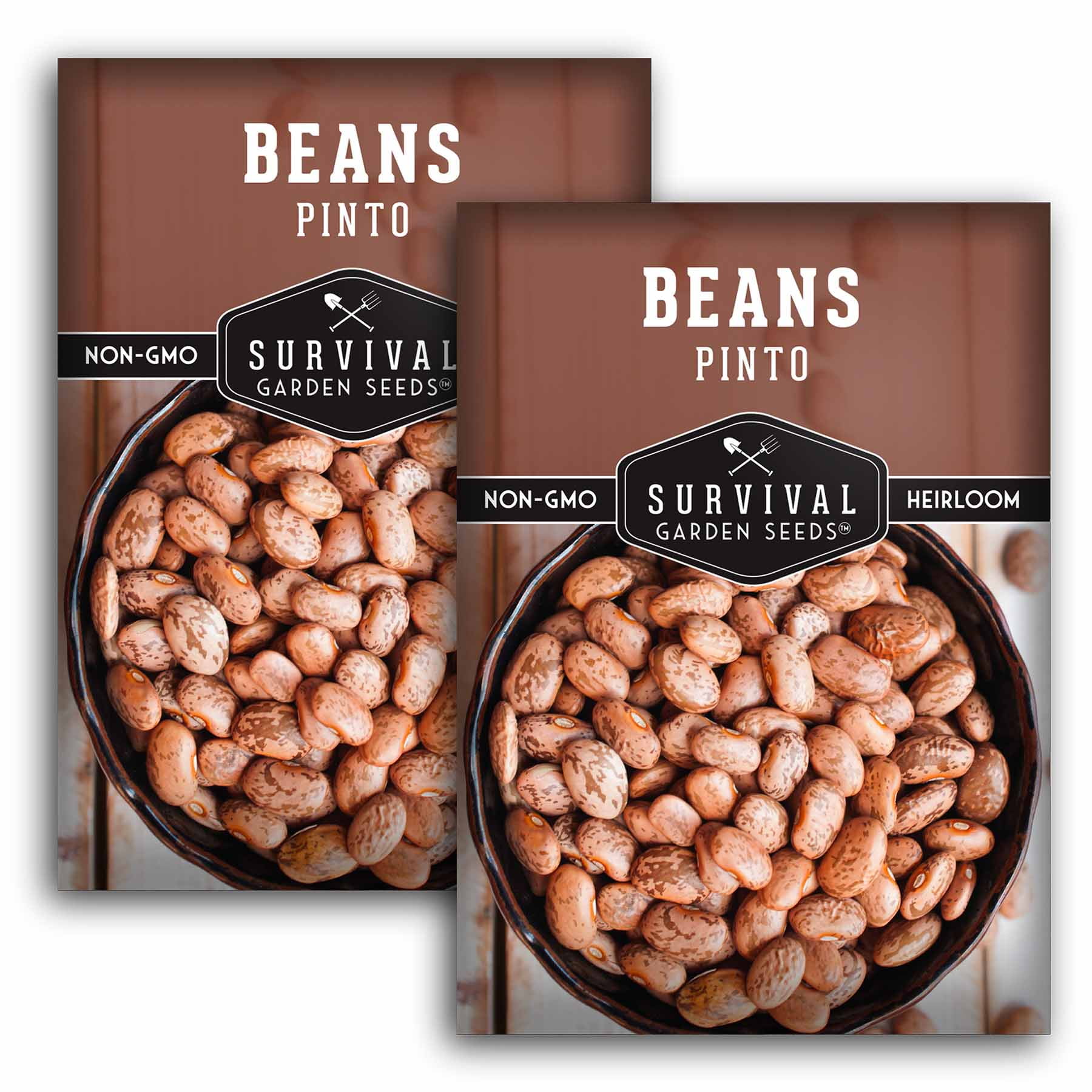 2 Packs Pinto Bean Seeds - Mottled / Peruano Beans - Non-GMO Heirloom ...
