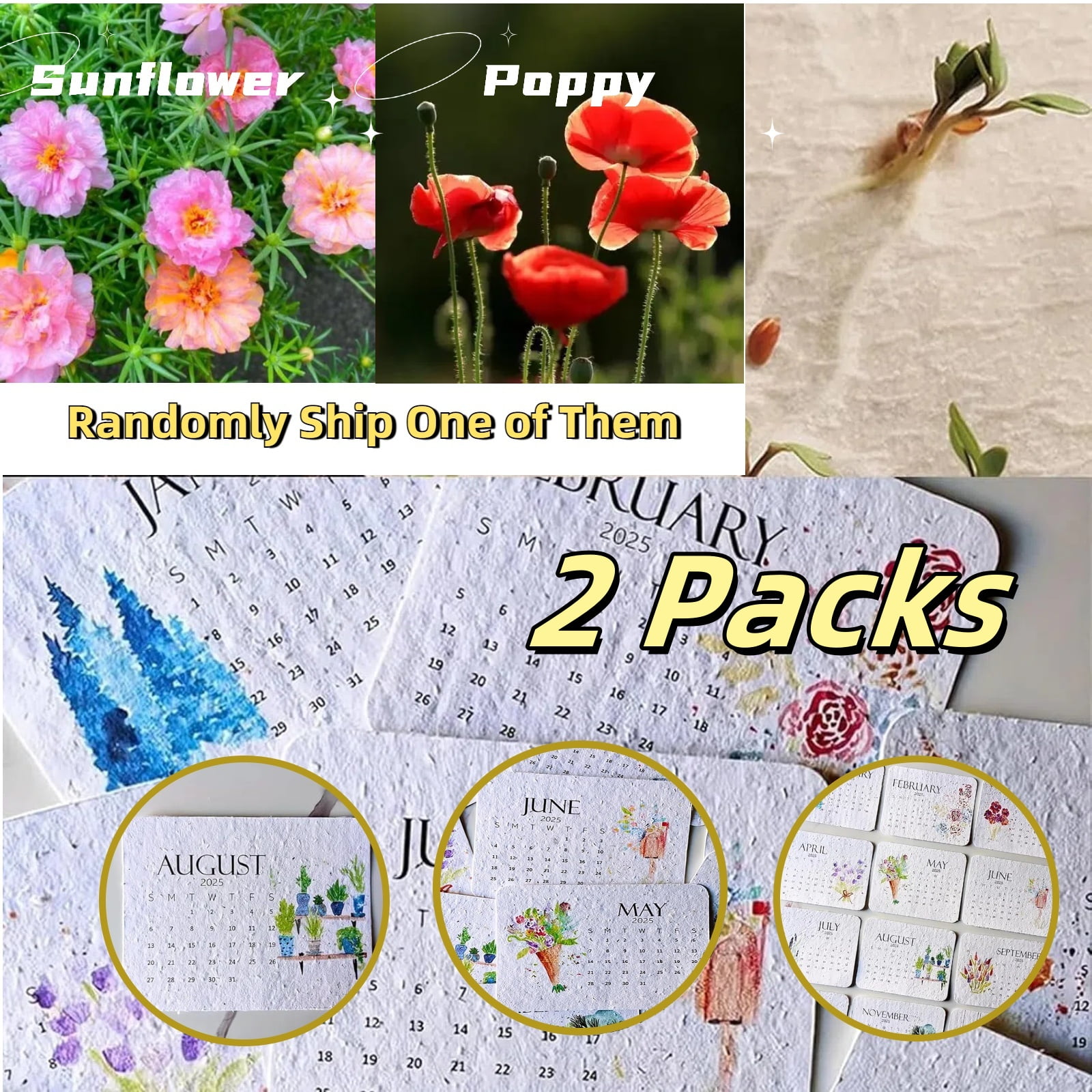 2 Packs Plantable Calendar 2025: Unique Greenery Planner with 12 ...