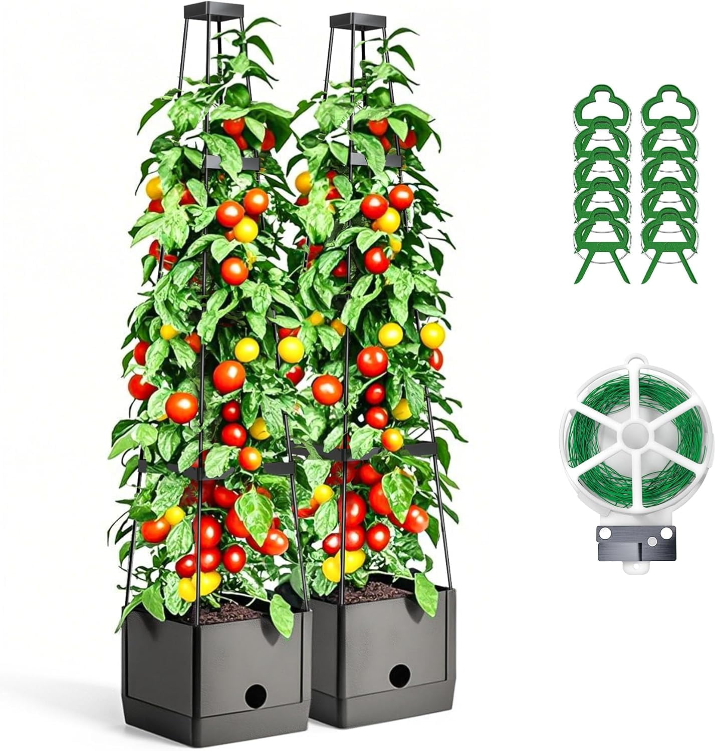 2 Packs Raised Garden Bed Tomato Planter Boxes & Trellis, 59” Tomato ...