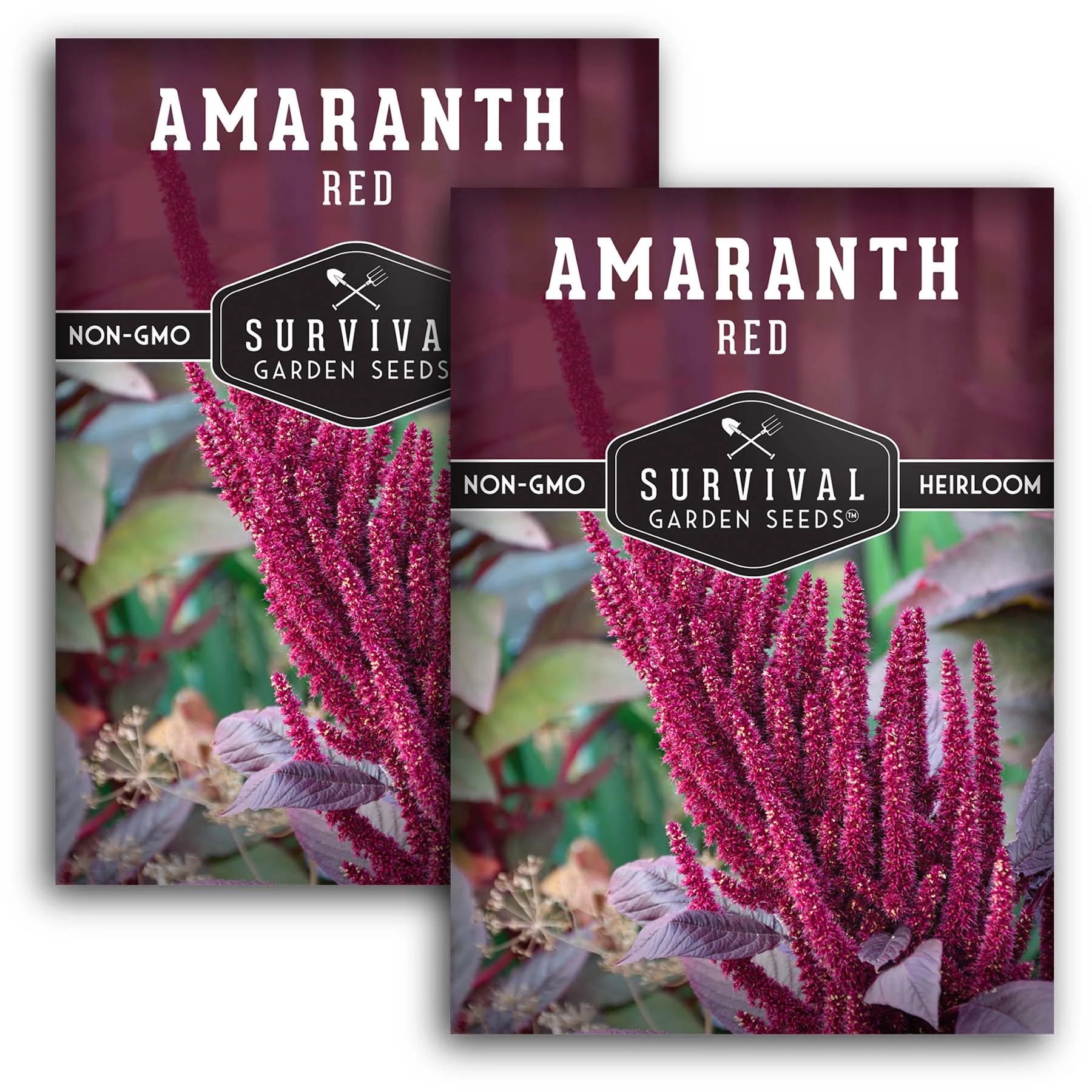 2 Packs Red Amaranth Seeds - Non-GMO Heirloom Full Sun Annual Vegetable ...