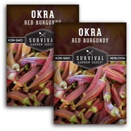 Okra Seed Collection - 3 Packs of Okra Varieties - Annual Full Sun ...