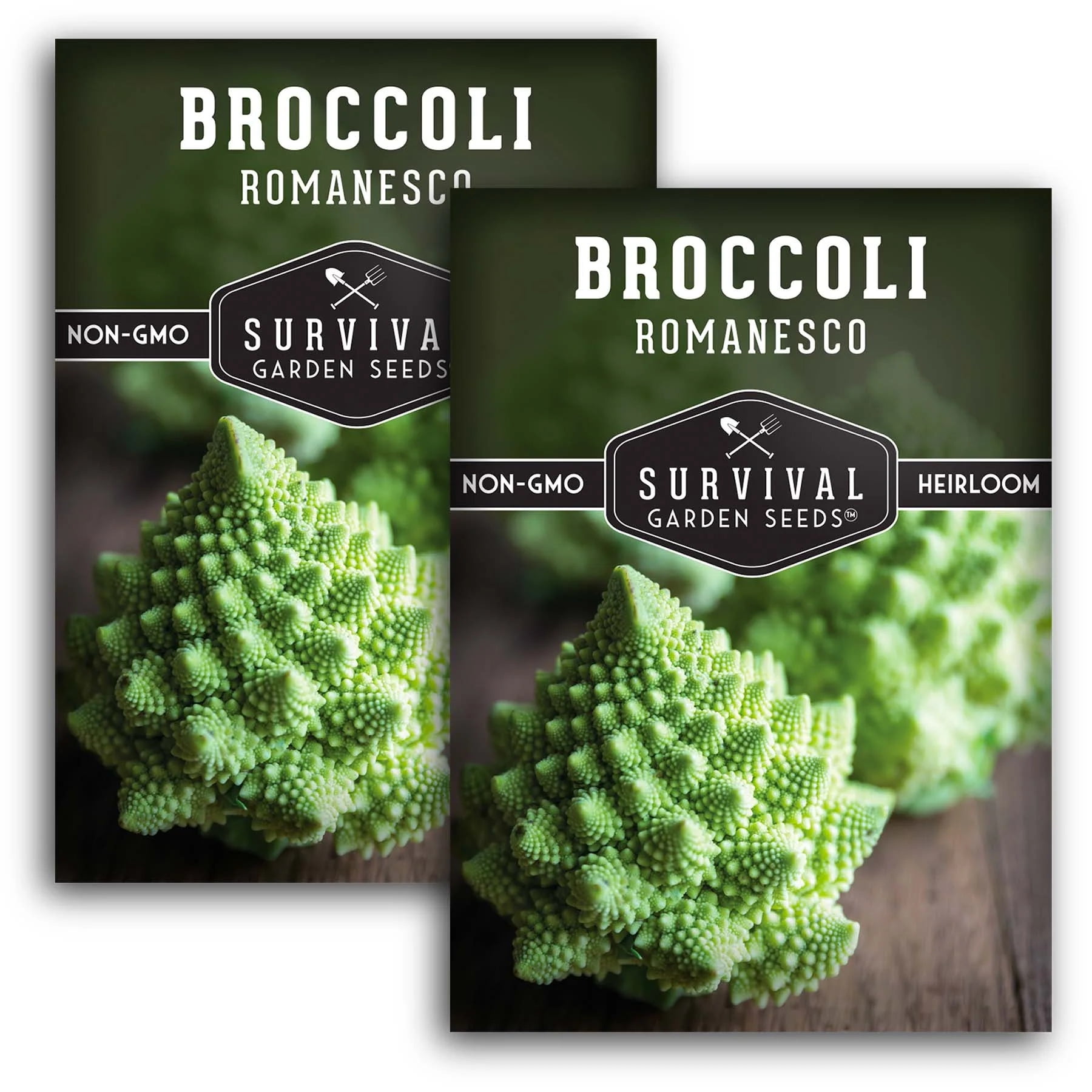 2 Packs Romanesco Broccoli Seed - Non-GMO Heirloom Full Sun Biennial ...