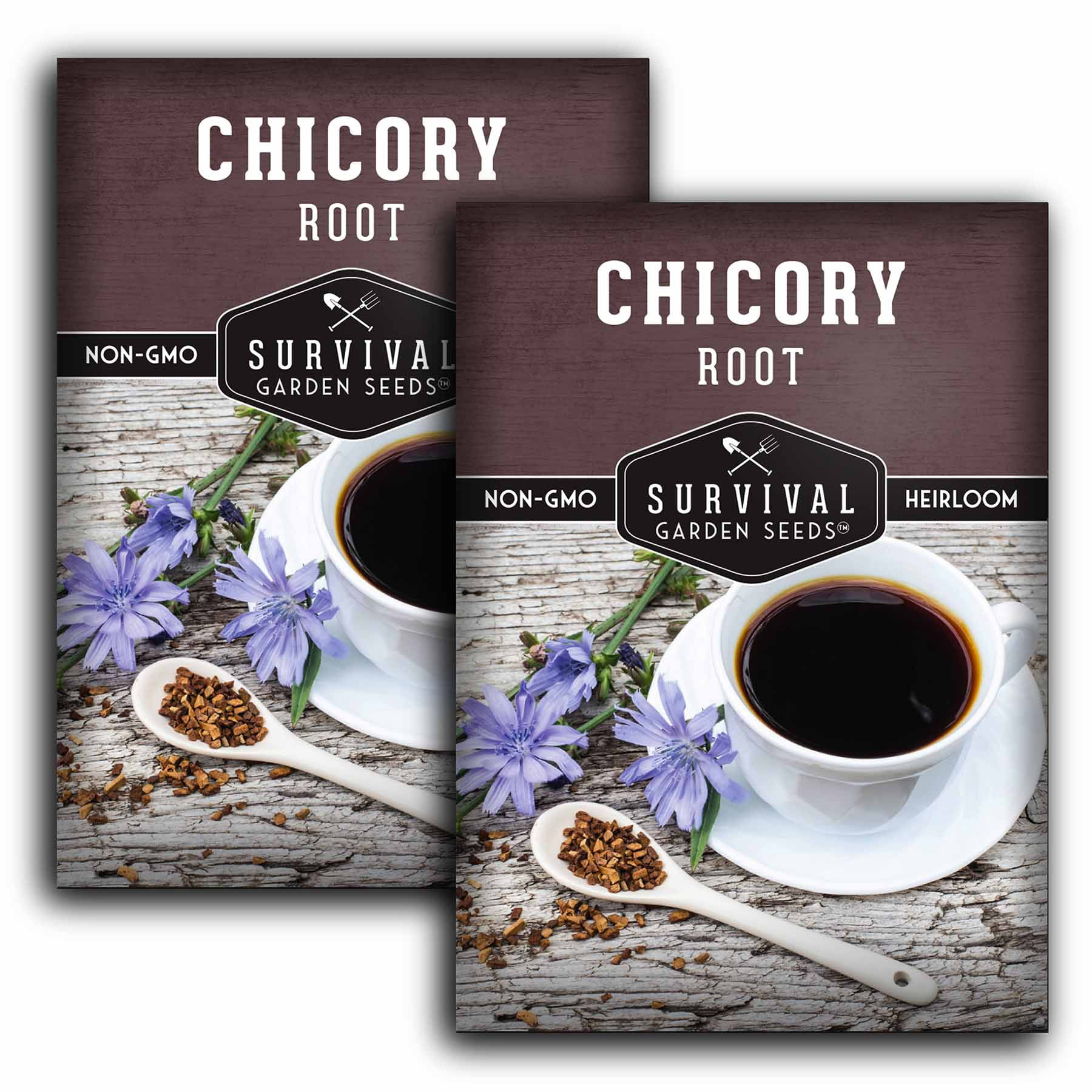 2 Packs Root Chicory Seed - Coffee Chicory - Non-GMO Heirloom Perennial ...