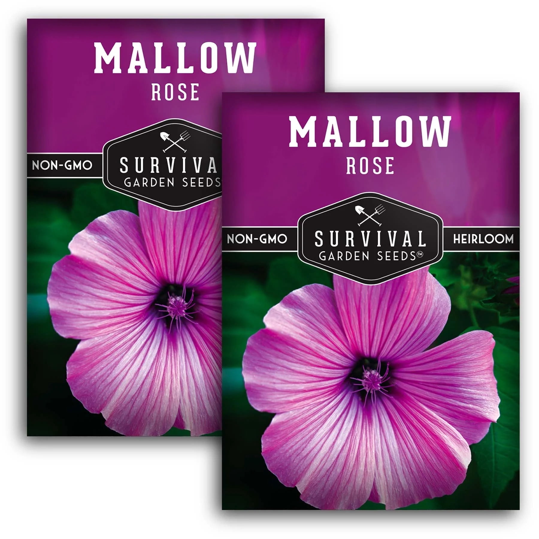 2 Packs Rose Mallow Seeds - Heirloom Full Sun Perennial Flower ...