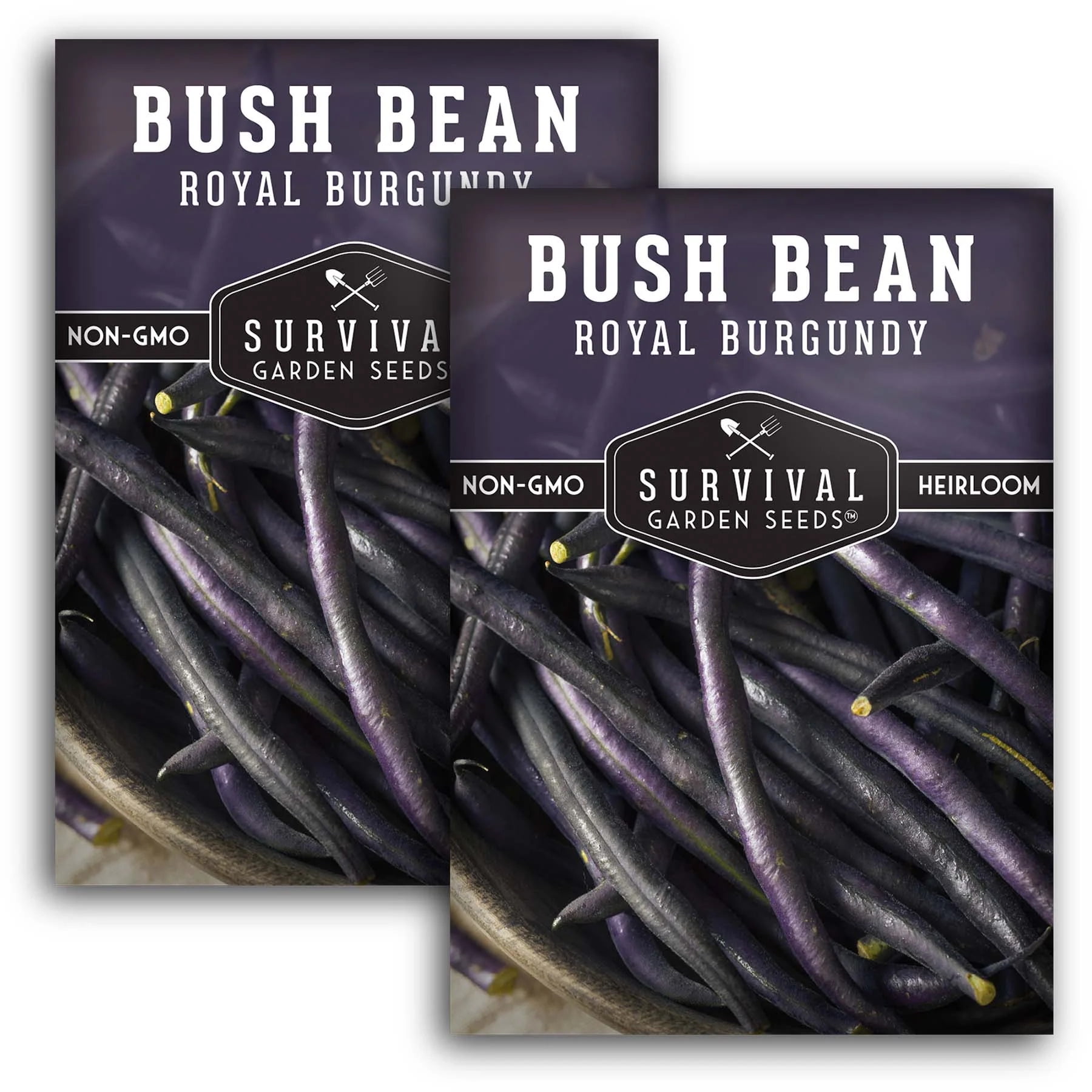 Royal Burgundy Bush Bean Seed - 2 Packs, Non-GMO Heirloom, Full Sun ...