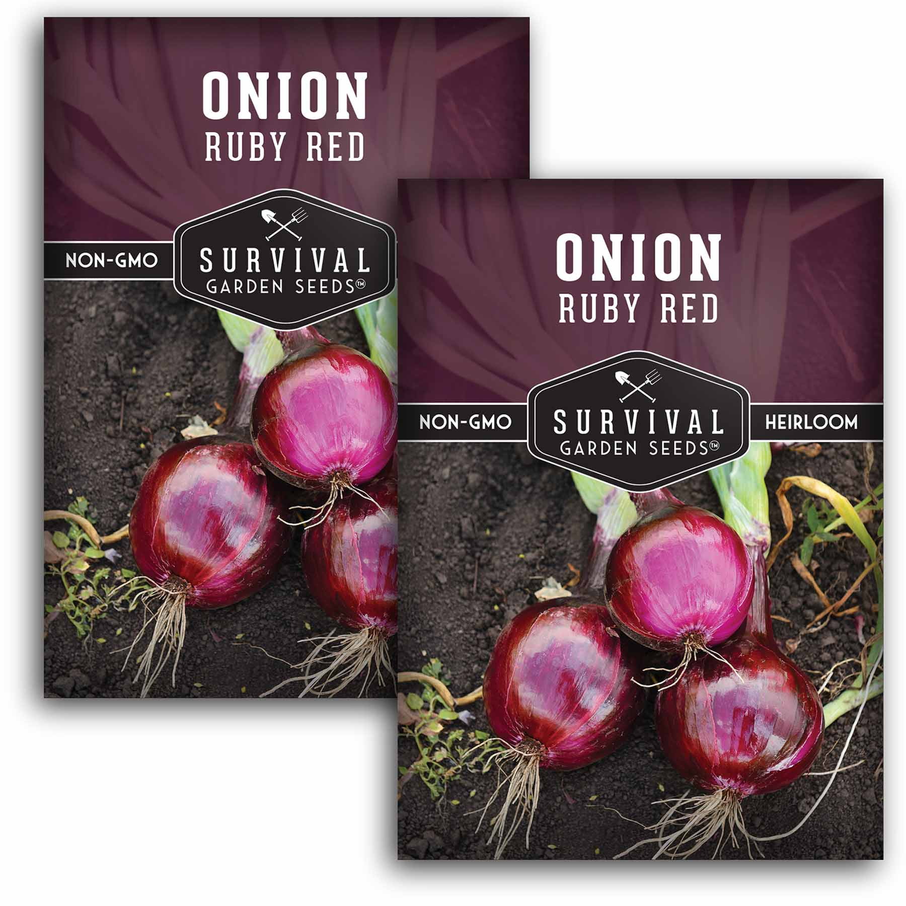2 Packs Ruby Red Onion Seeds - Long-Day Slicing Onions - Non-GMO ...