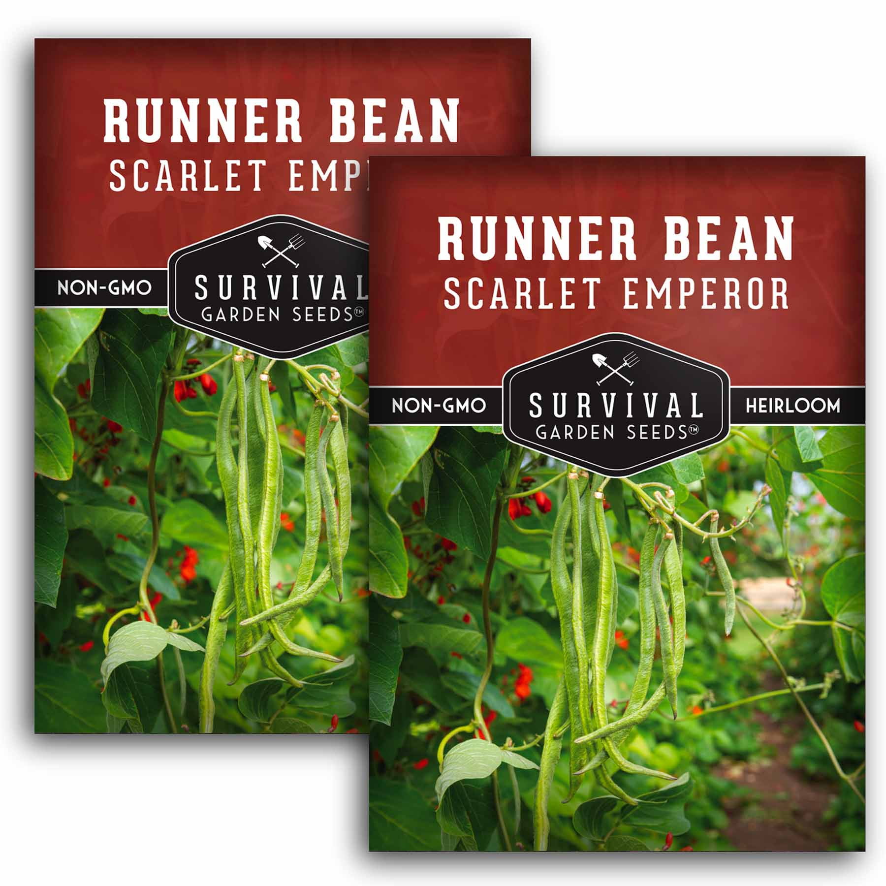 2 Packs Scarlet Emperor Runner Bean Seeds - Red Multiflora Beans - Non ...