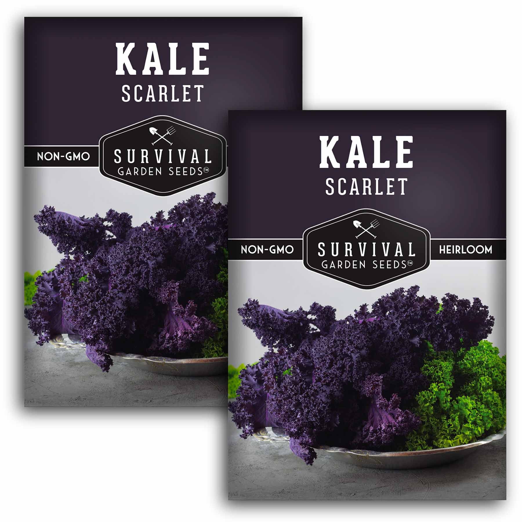 2 Packs Scarlet Kale Seeds - Ornamental Kale - Non-GMO Heirloom Annual ...