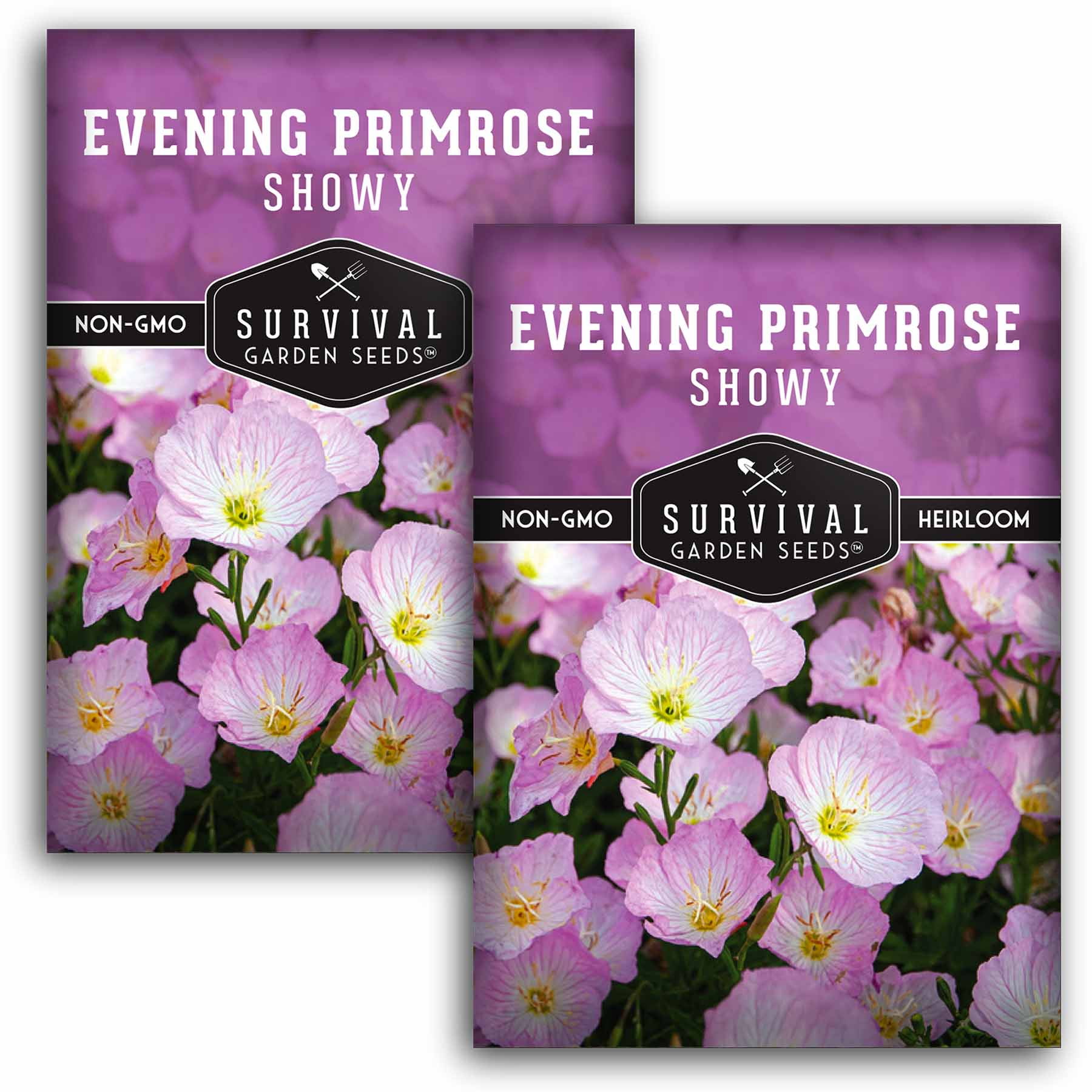 2 Packs Showy Evening Primrose Seed for Planting - Mexican Primrose ...