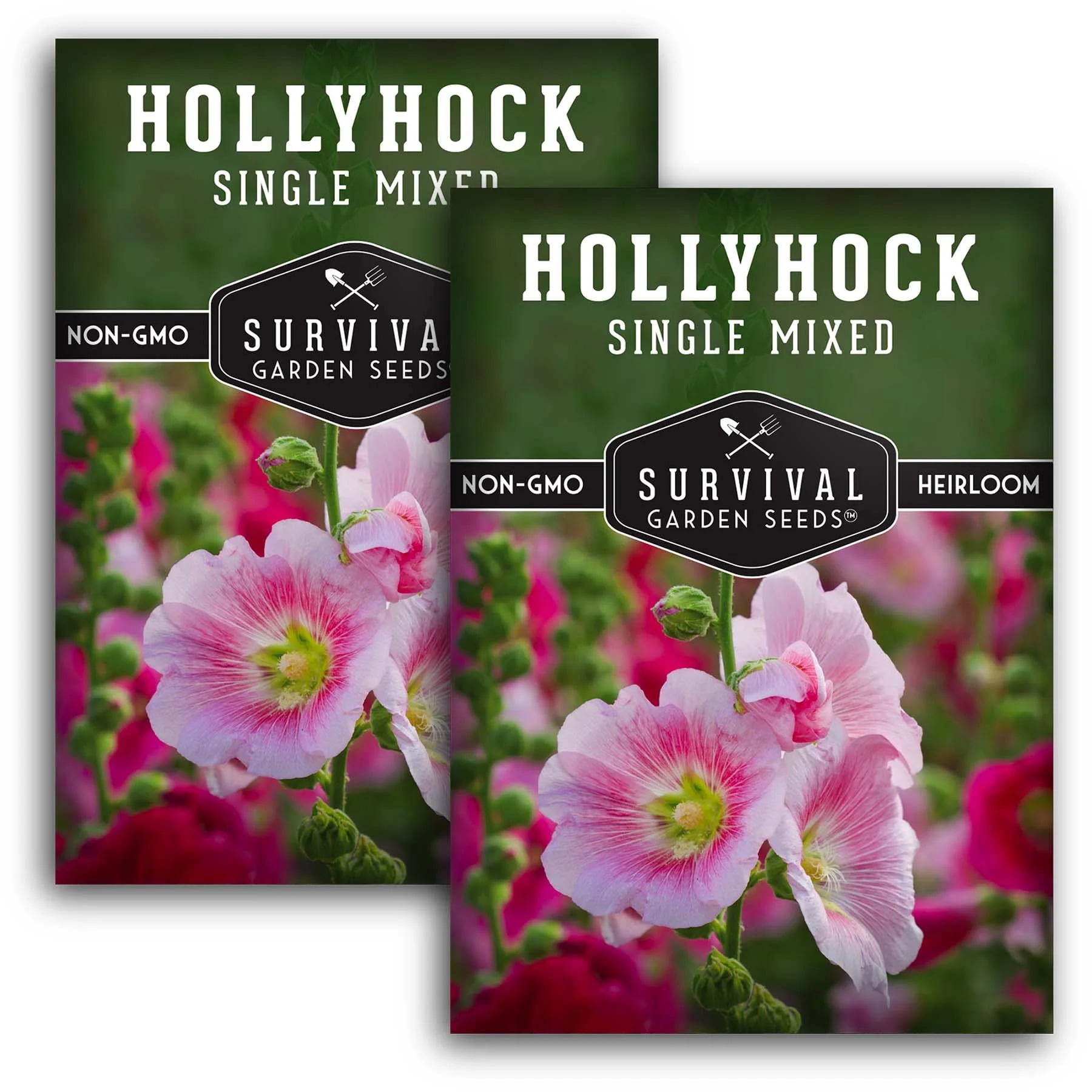 2 Packs Single Mixed Hollyhock Seed - Heirloom Full Sun Biennial Flower ...