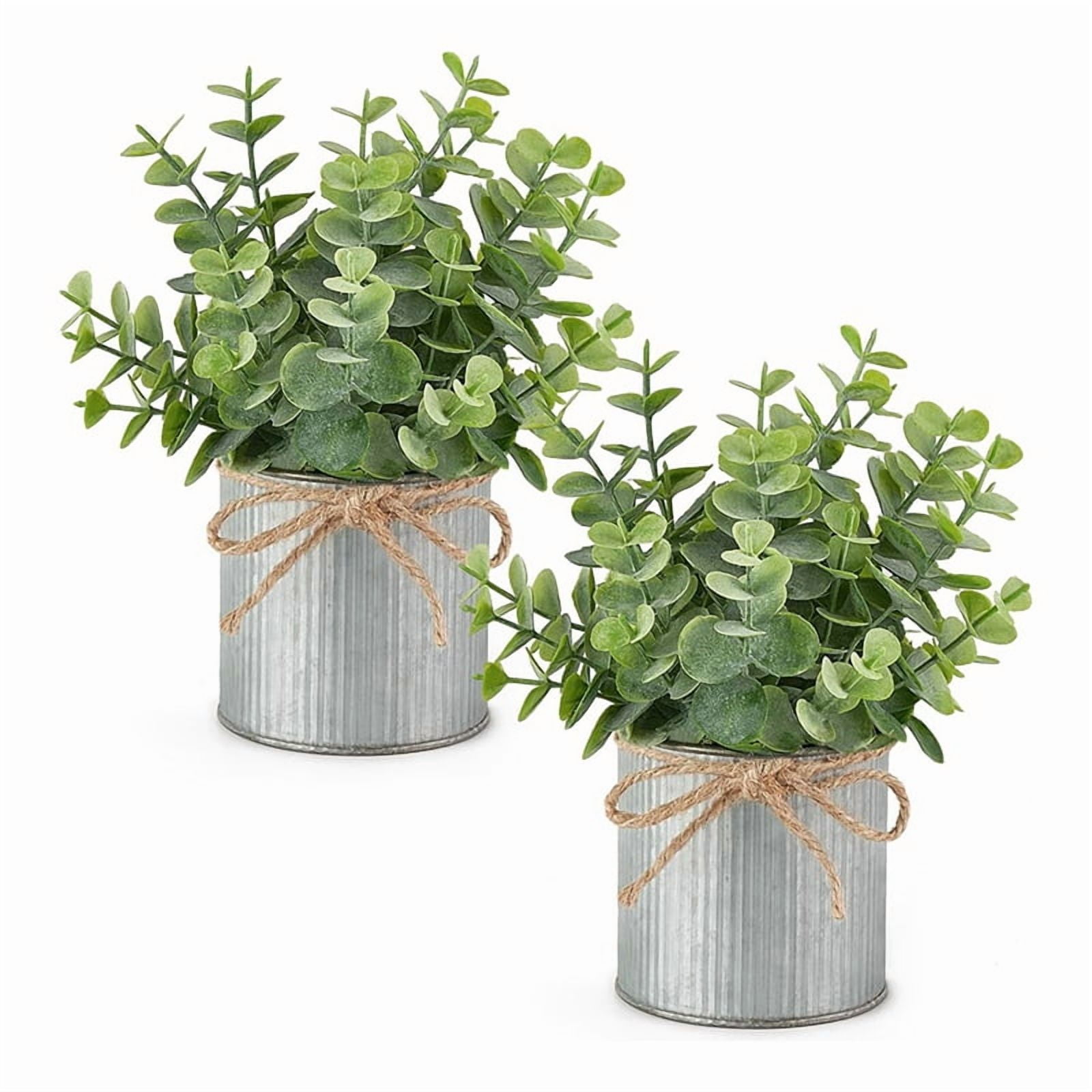 2 Packs Small Fake Plants in Farmhouse Galvanized Pots Table ...