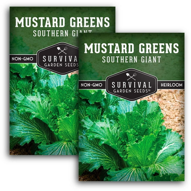 2 Packs Southern Giant Mustard Greens Seed - Non-GMO Heirloom Full Sun ...