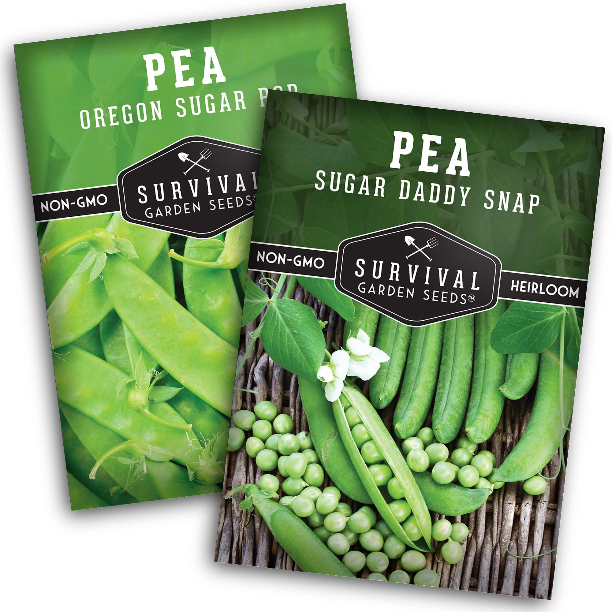 2 Packs Sugar Peas - Oregon Sugar Pod II Pea & Sugar Daddy Snap Pea ...