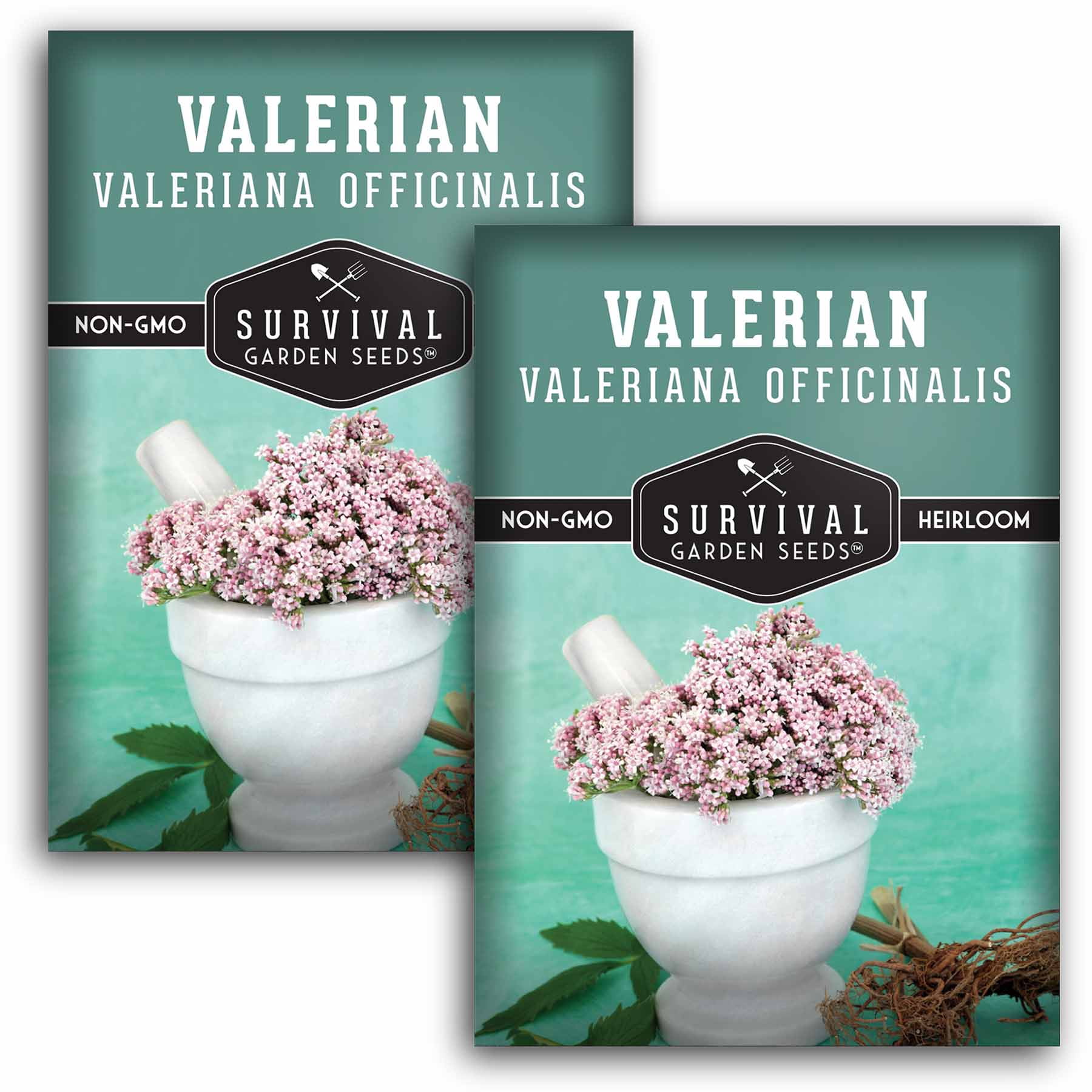 2 Packs Valerian Seeds - Non-GMO Heirloom Perennial Full Sun - Walmart.com