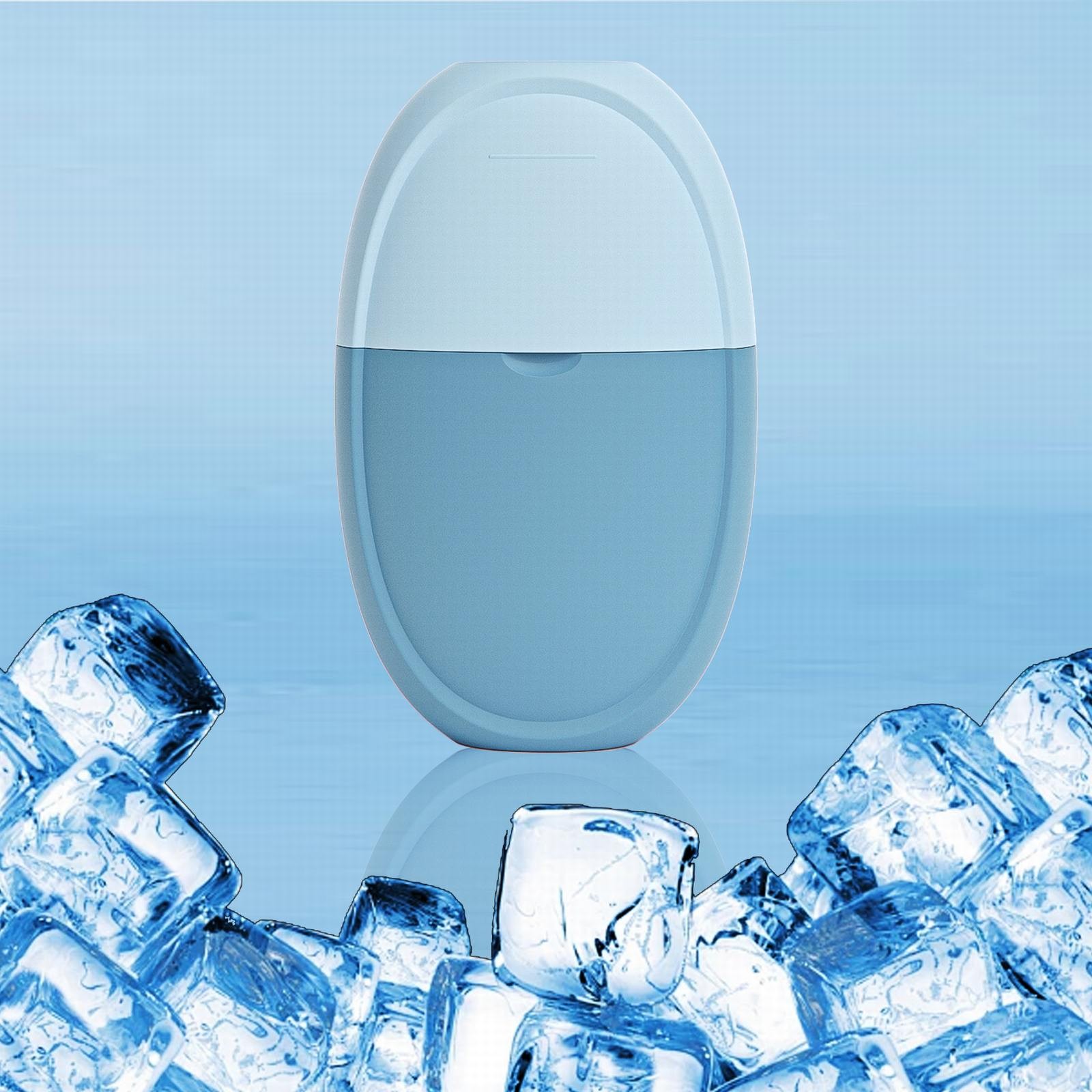 2 Packs Walmart Labor Day 2024Ice Cube Mold,Ice Face Roller Massager ...