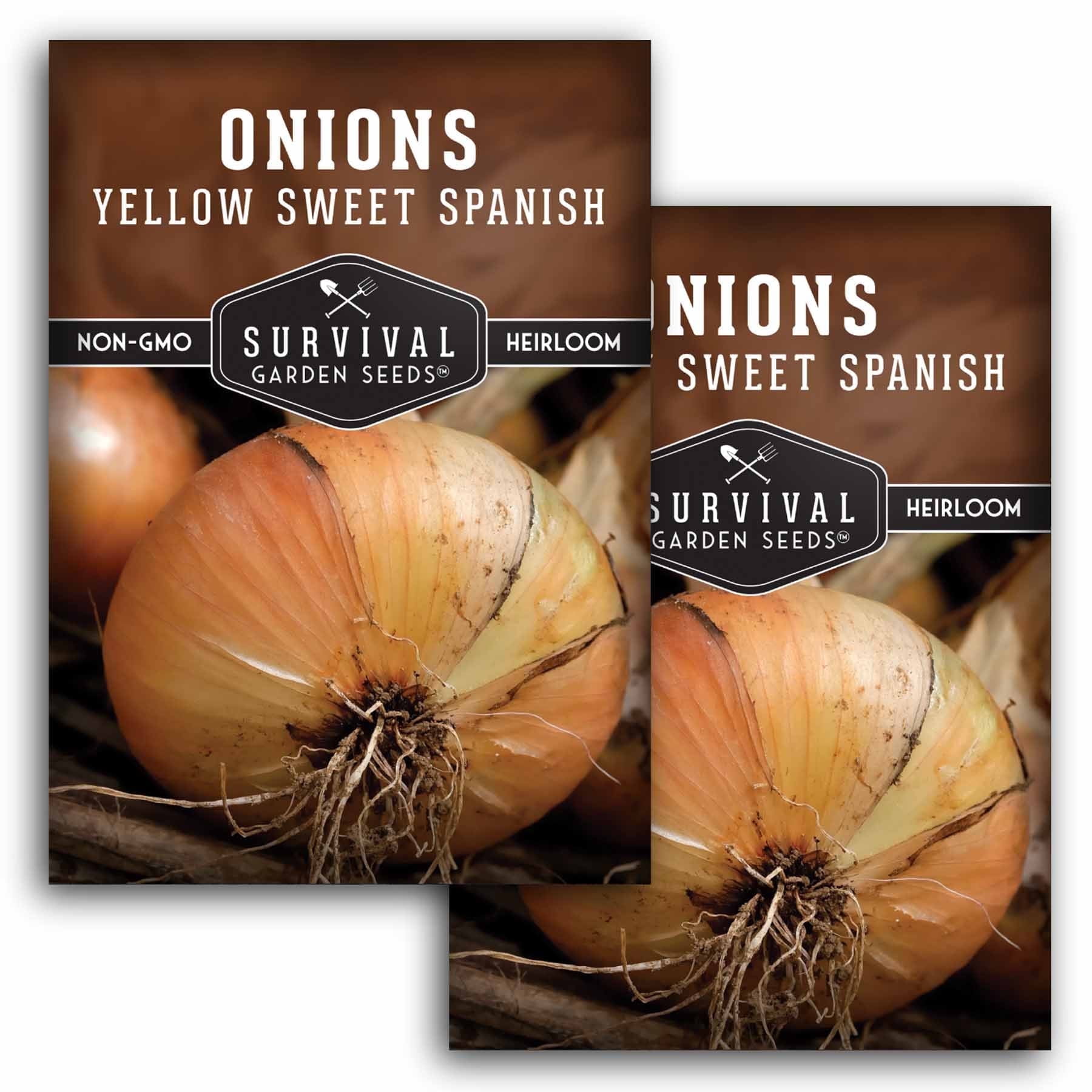 2 packs Yellow Sweet Spanish Onion Seed - Long-Day Onions - Heirloom ...