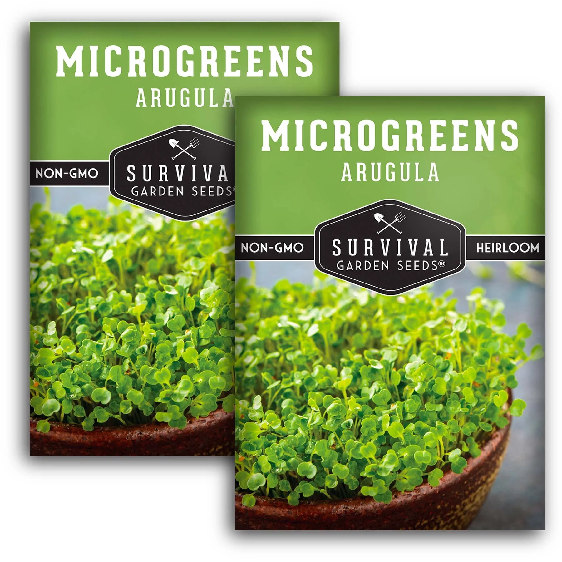 2 Packs of Arugula Seed for Microgreens - Non-GMO Heirloom Full Sun ...