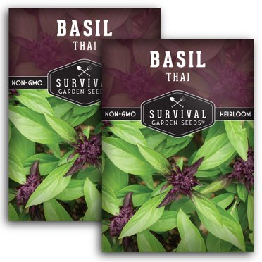 2 Packs Culinary Basil Seed Mix - Non-GMO Heirloom Herb - Full Sun ...