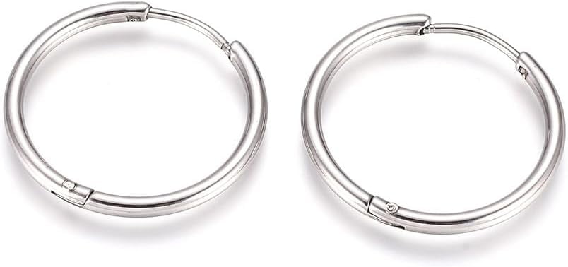 2 Pair 304 Stainless Steel Hoop Earrings Ring Earrings Decoration ...