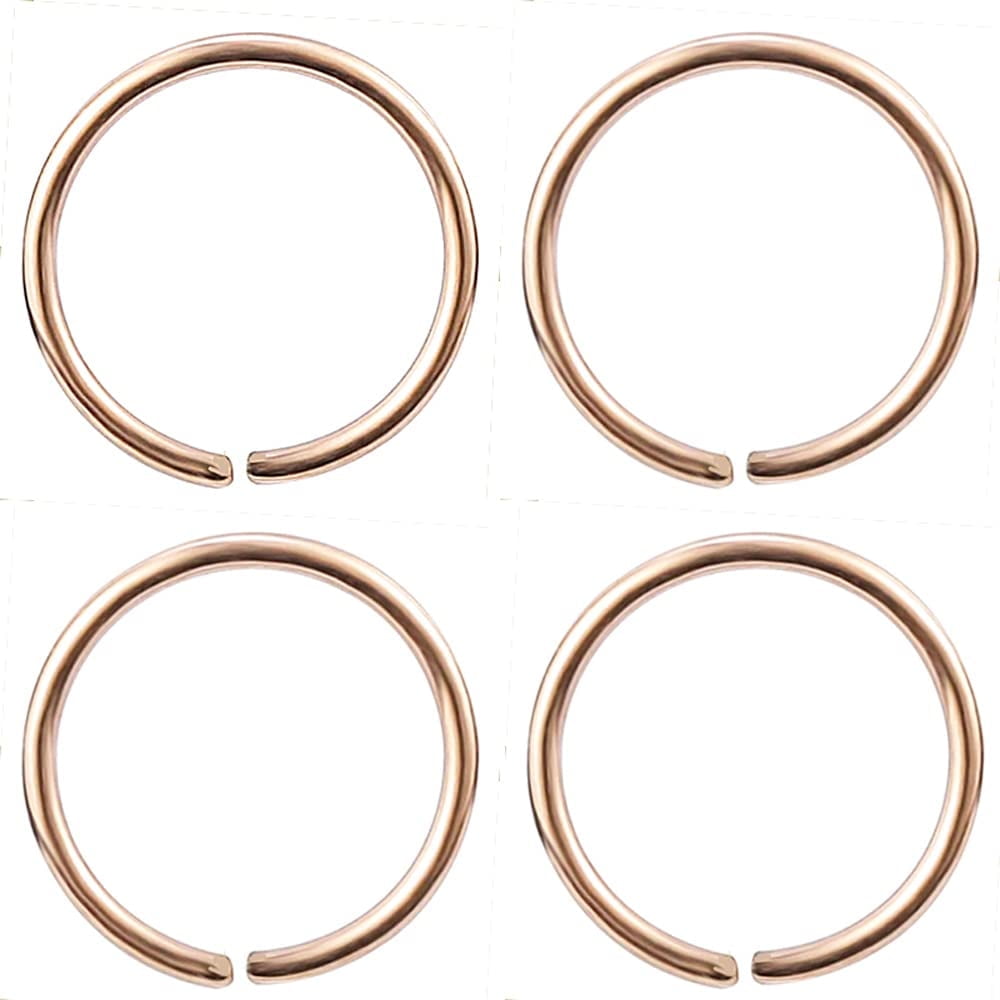 2 Pairs Set Nose Rings Hoop Cartilage Small Hoops Earrings Set for ...