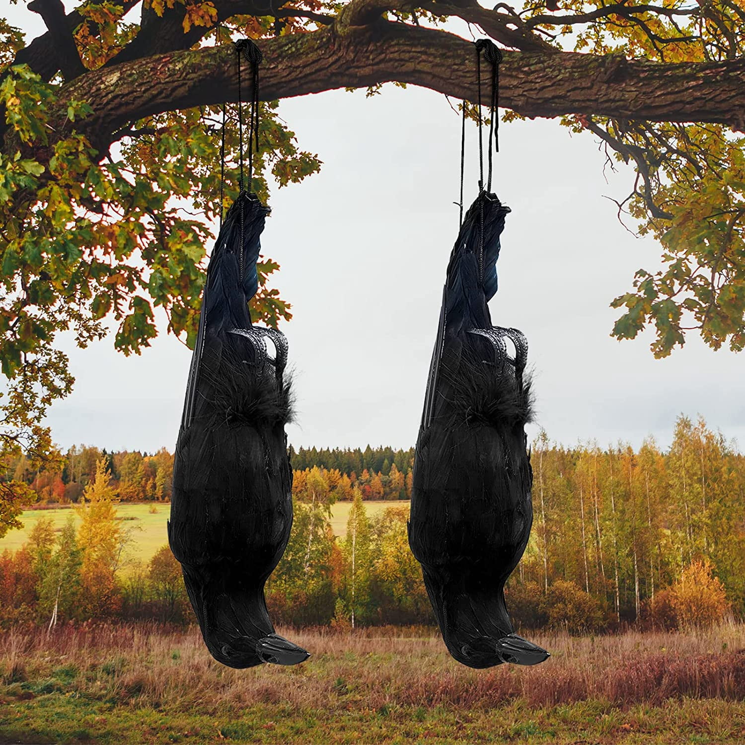 2 Pcs 17 Inch Realistic Hanging Dead Crows Decoy Life Size Black ...