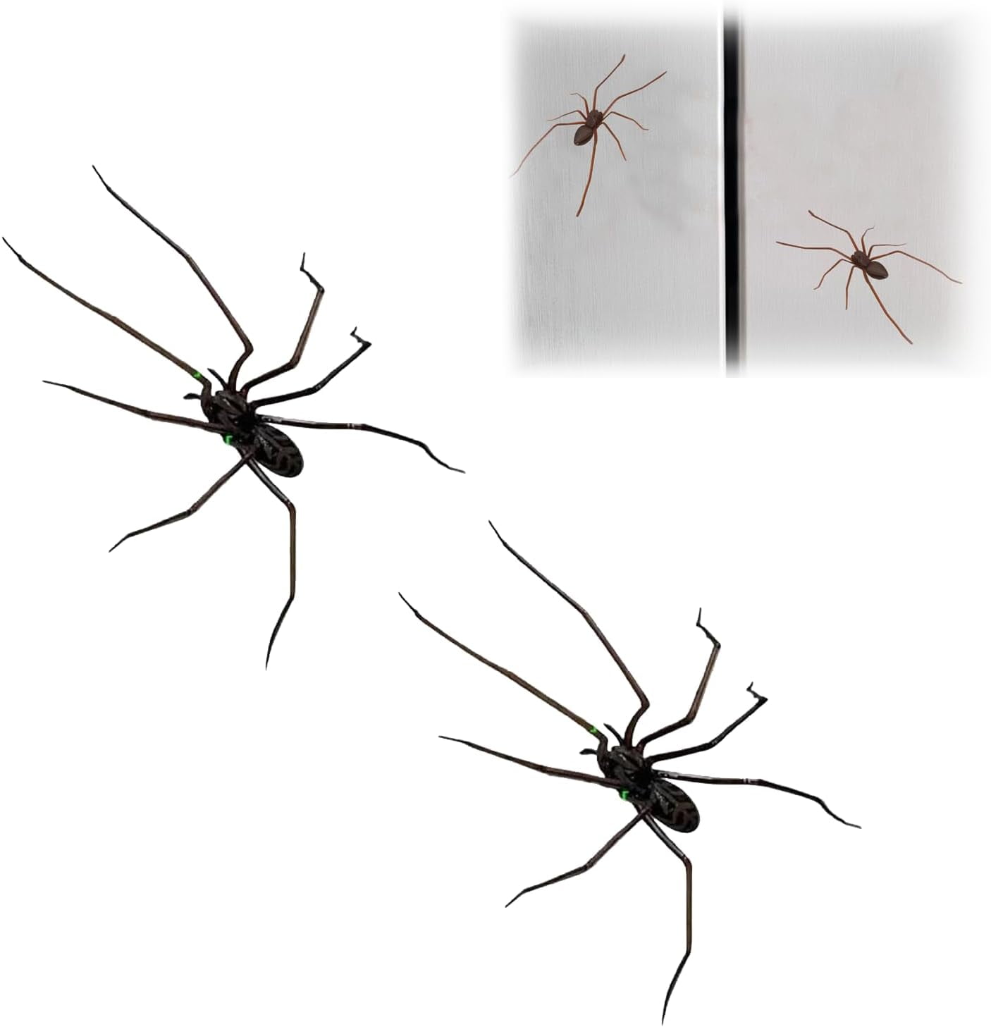 2 Pcs 3D Spider Fridge Magnet, Realistic Spider Magnets for ...