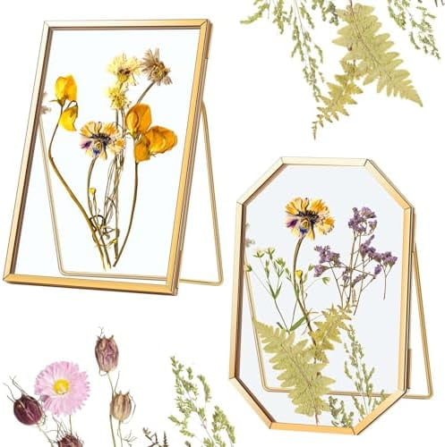 2 Pcs 4 x 6 Glass Pressed Flower Frame Gold Brass Clear Double Glass ...