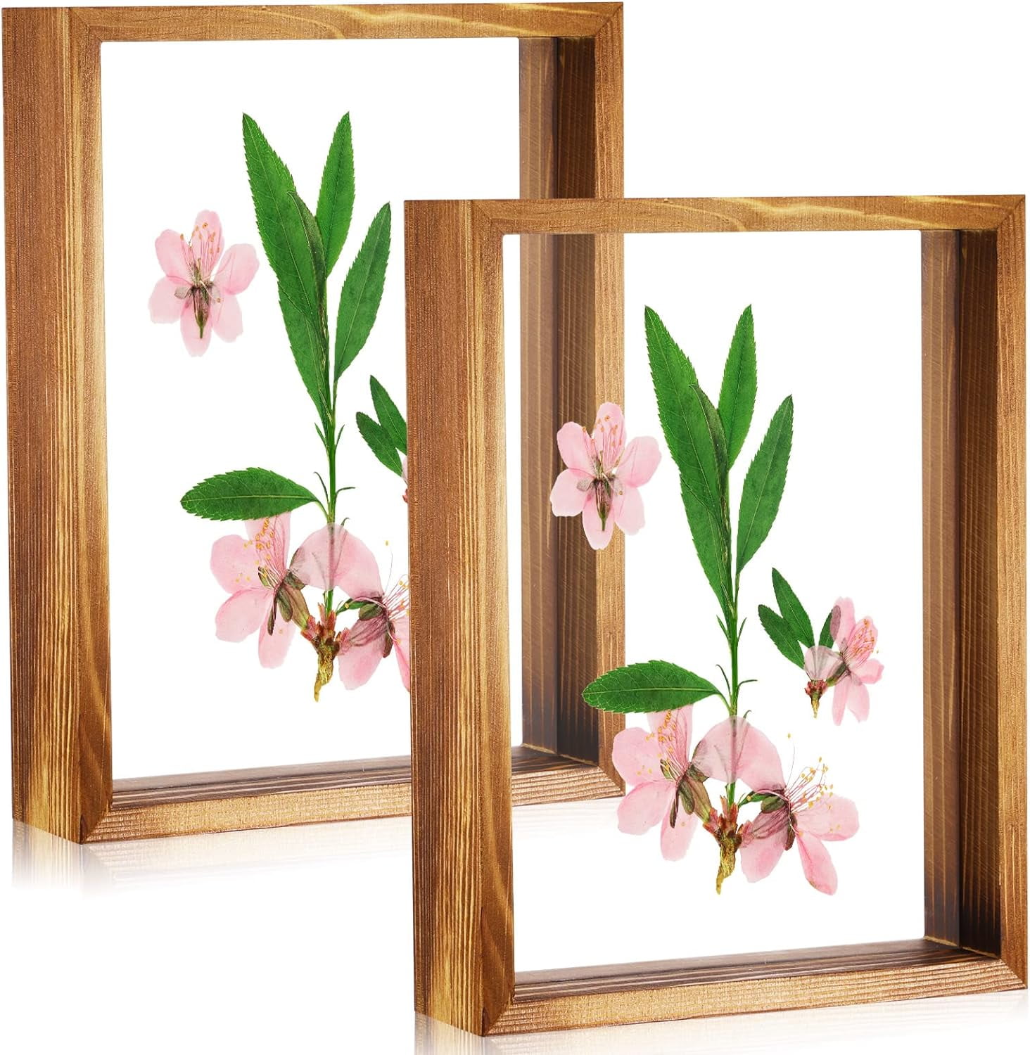2 Pcs 5 x 7 Picture Frames Pressed Flowers Frames Floating Picture ...