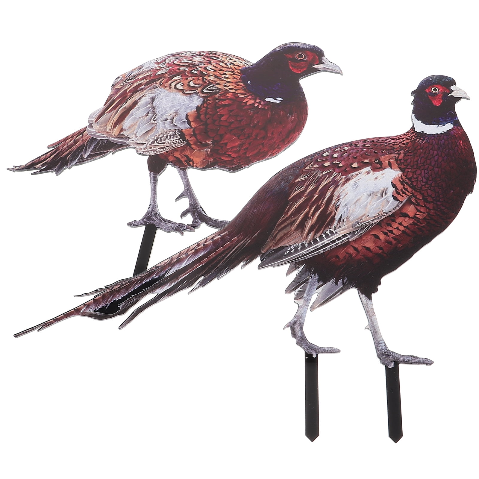 2 Pcs Acrylic Decorative Inserts Garden Lawn Stake Pheasant Decals ...