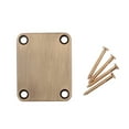 2 Pcs Bass Guitar Bronze Neck Plate Guitar Neck Screws Guitar Repair ...