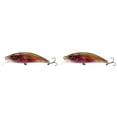 2 Pcs Bionic Swimming Lure 3.94 Inch, 3D Reusable Fishing Bionic ...
