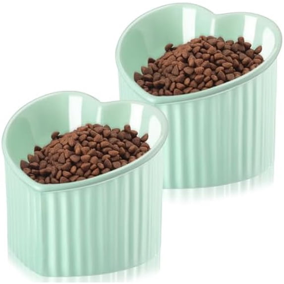 2 Pcs Ceramic Elevated Cat Bowls Tilted Elevated Raised Pet Bowls Anti ...