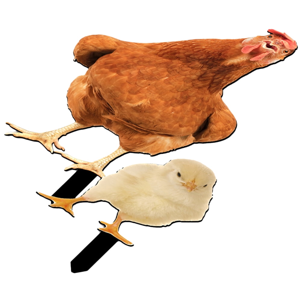 2 Pcs Chick Decor Garden Chicken Sign Decorative Insert Lawn Animal ...