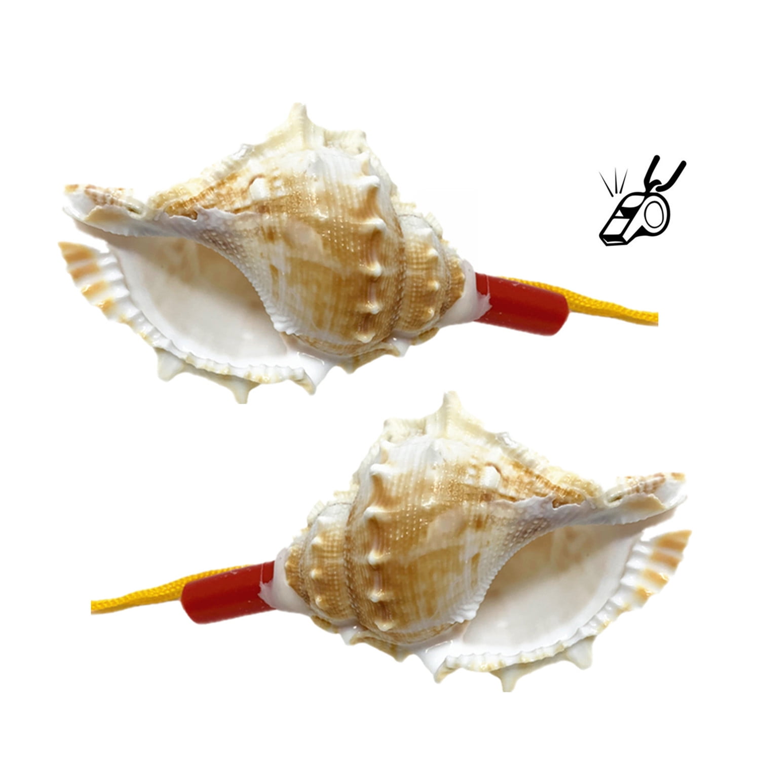 2 Pcs Conch Shell Whistle Necklace, Small Toy, Ocean-Themed Fun (Size ...