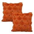 2 Pcs Fall Pumpkin Decorative Throw Pillow Covers 18 x 18 in, 3D ...