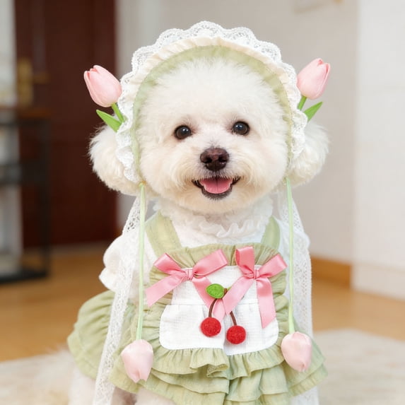 2 Pcs Floral Dress And Lace Sunhat Summer Skirt With Laces For Cute ...