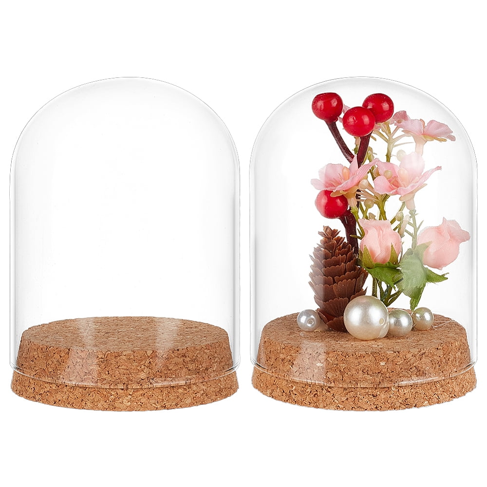 2 Pcs Glass Display Cloche 3x4.1 inches Bell Jar Dome with Cork Base ...