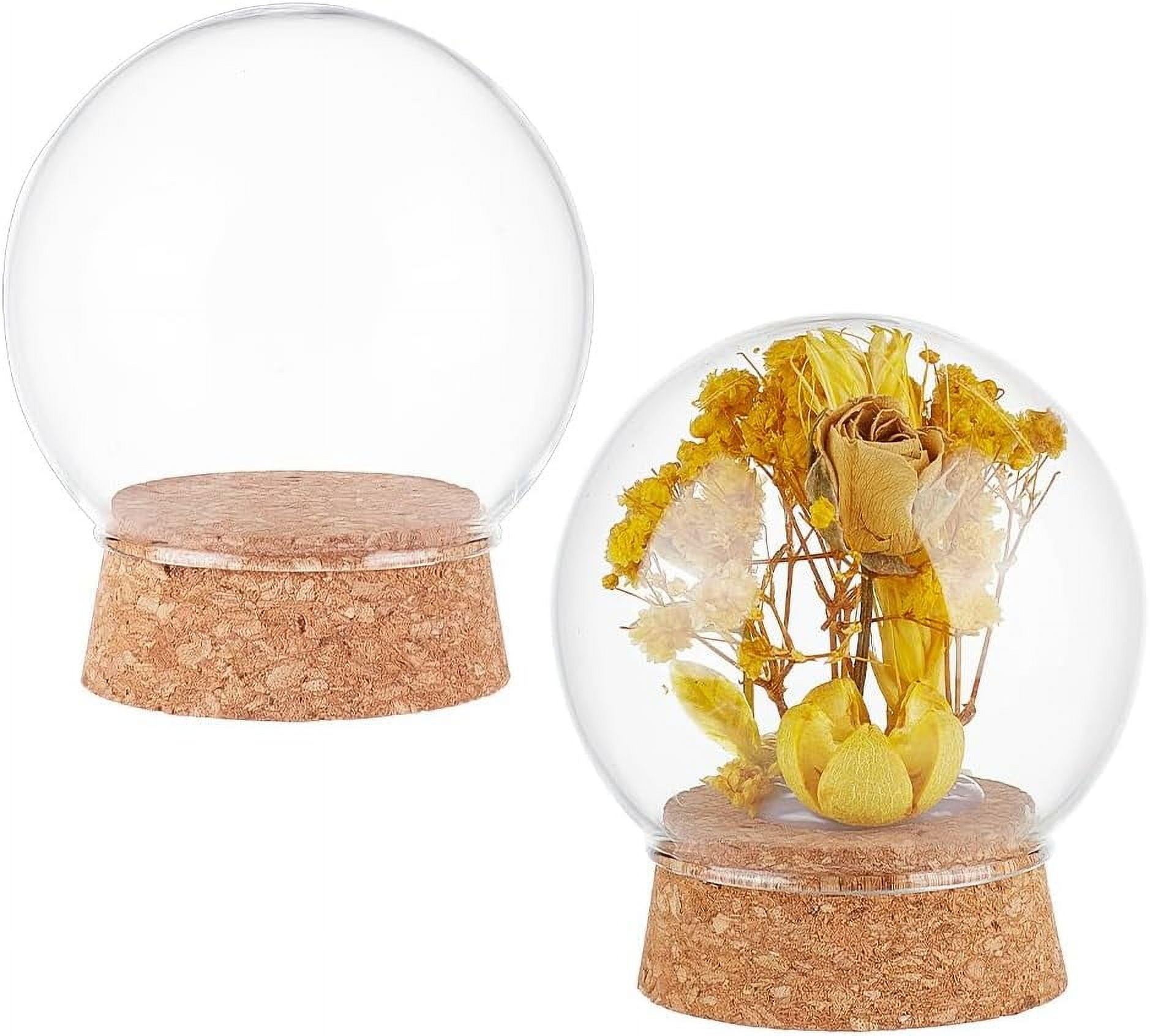 2 Pcs Glass Dome Cloche 2.7x3.1 Inch Mini Glass Dome Cover with Cork ...