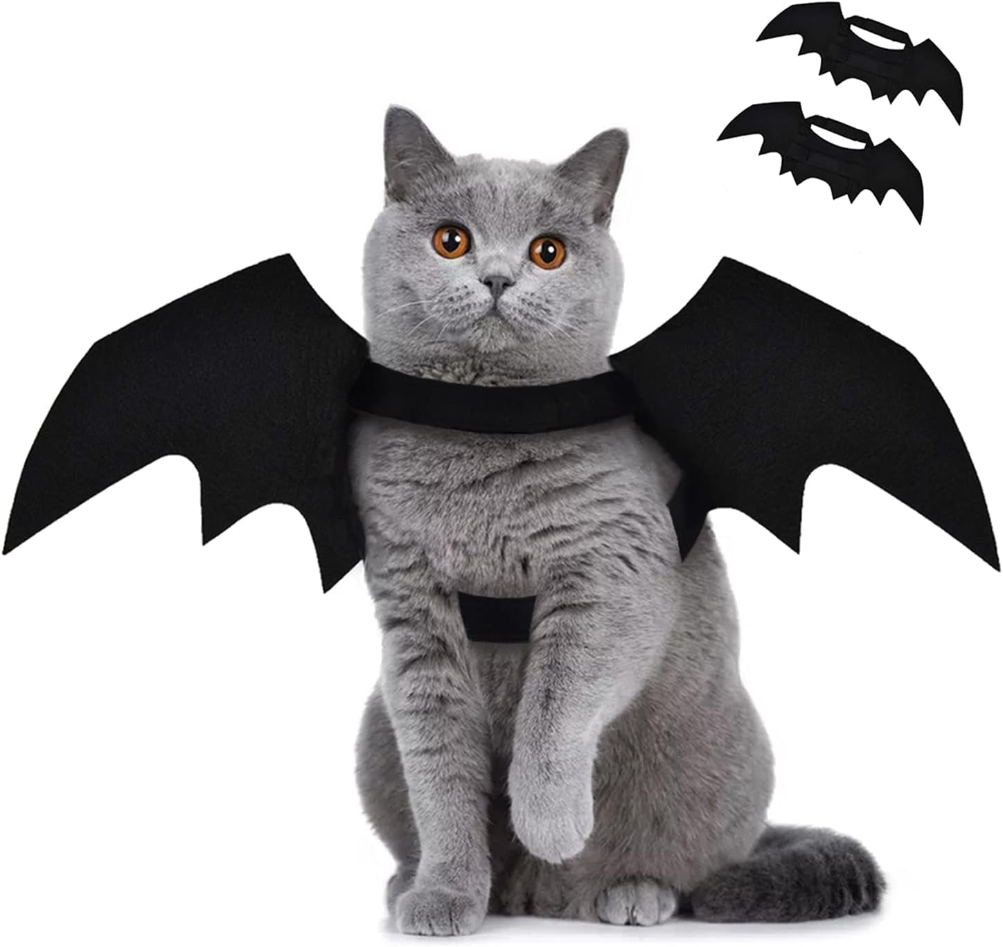 2 Pcs Halloween Cat Costume Bat Wings for Cats, Puppy Halloween Costume ...